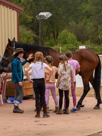 Green Gables Stables - Horse Riding, Horse Workshop