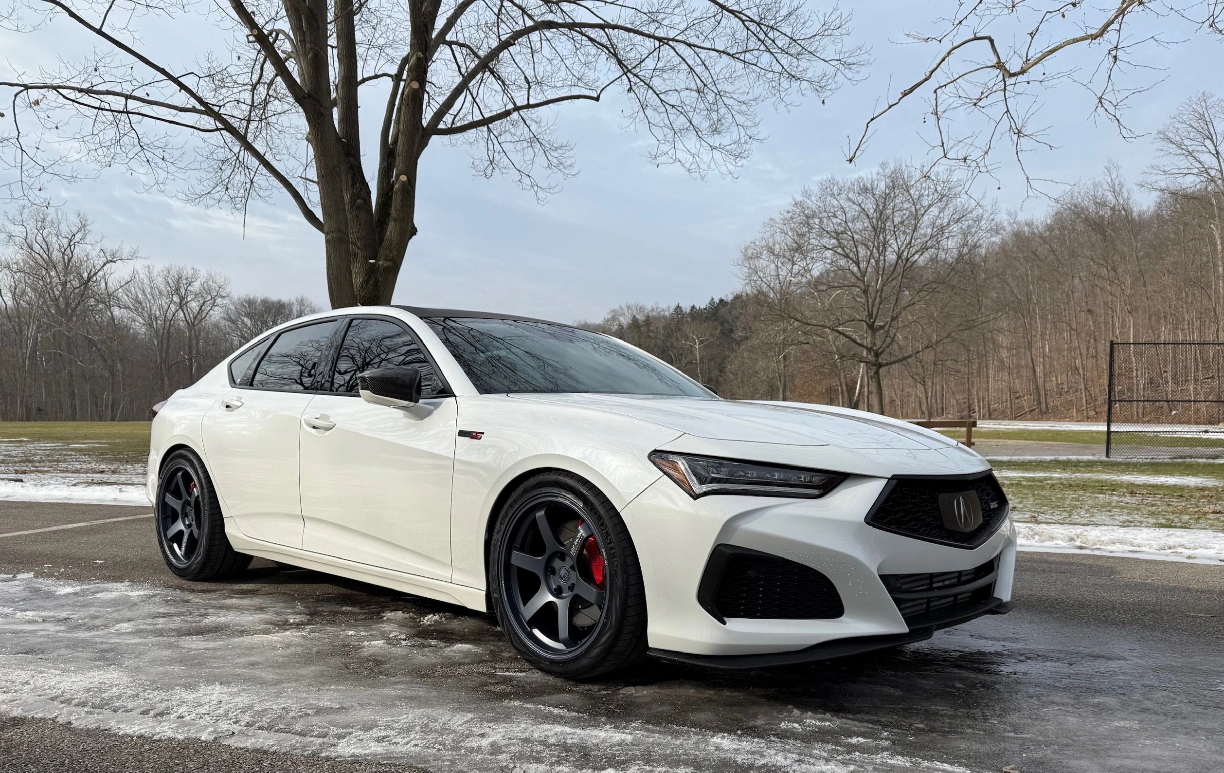 23 TLX Type S
