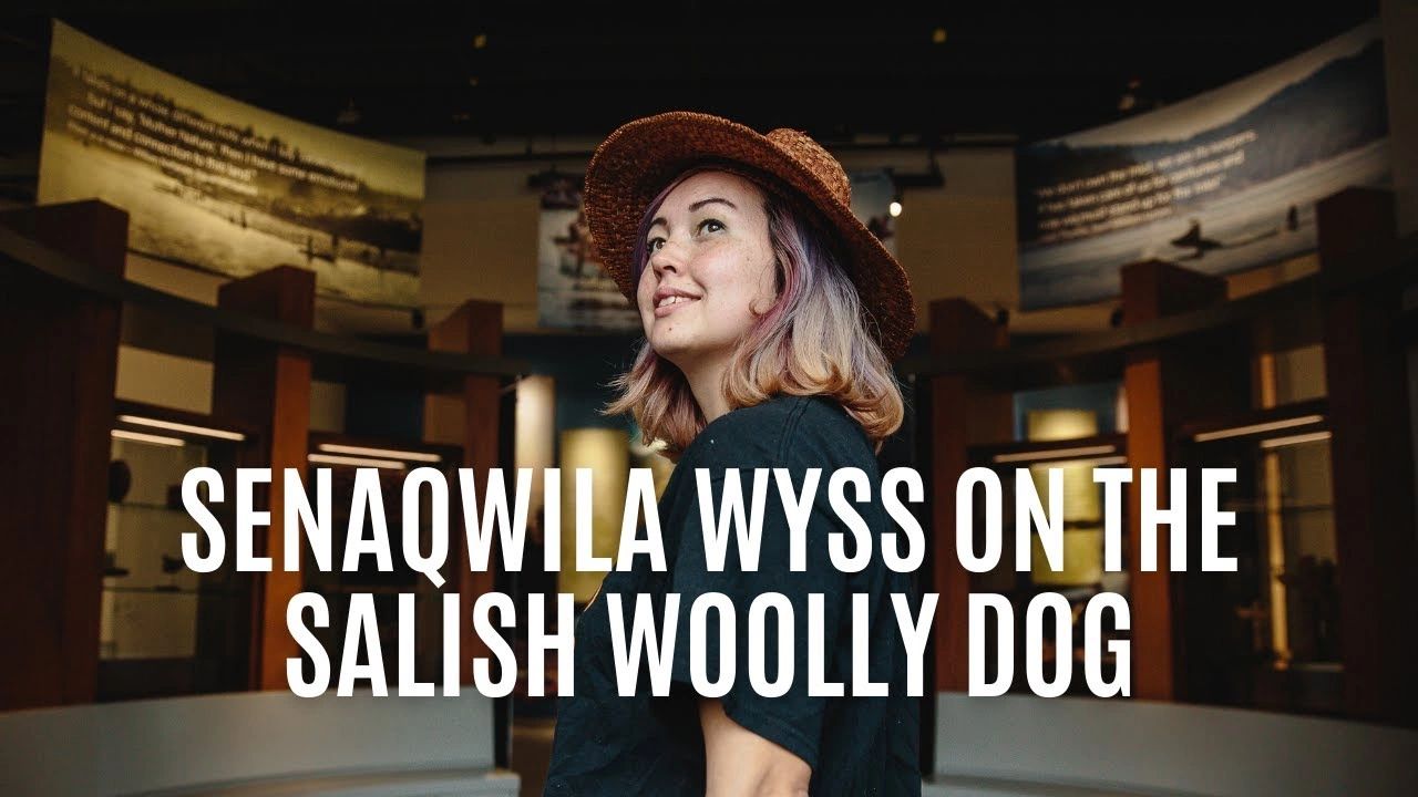 Salish Woolly Dog presentation