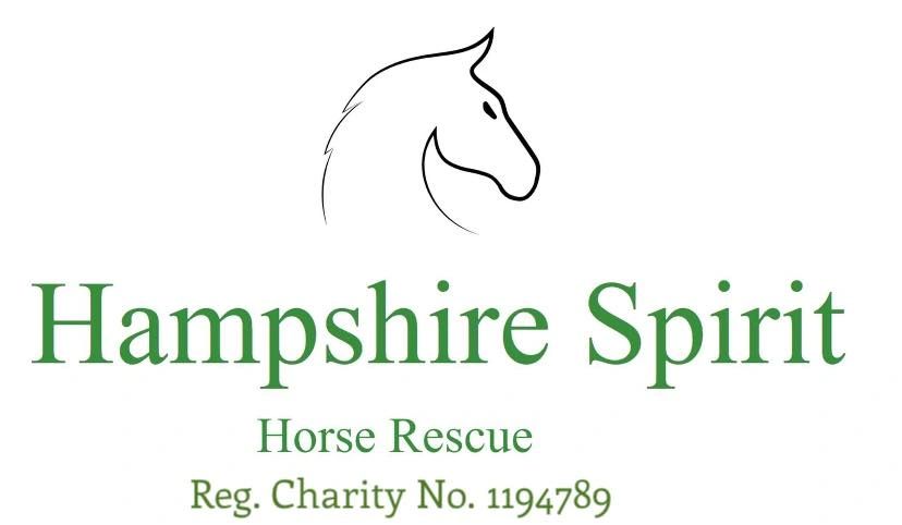Rehome a Horse | Hampshire Spirit Horse Rescue