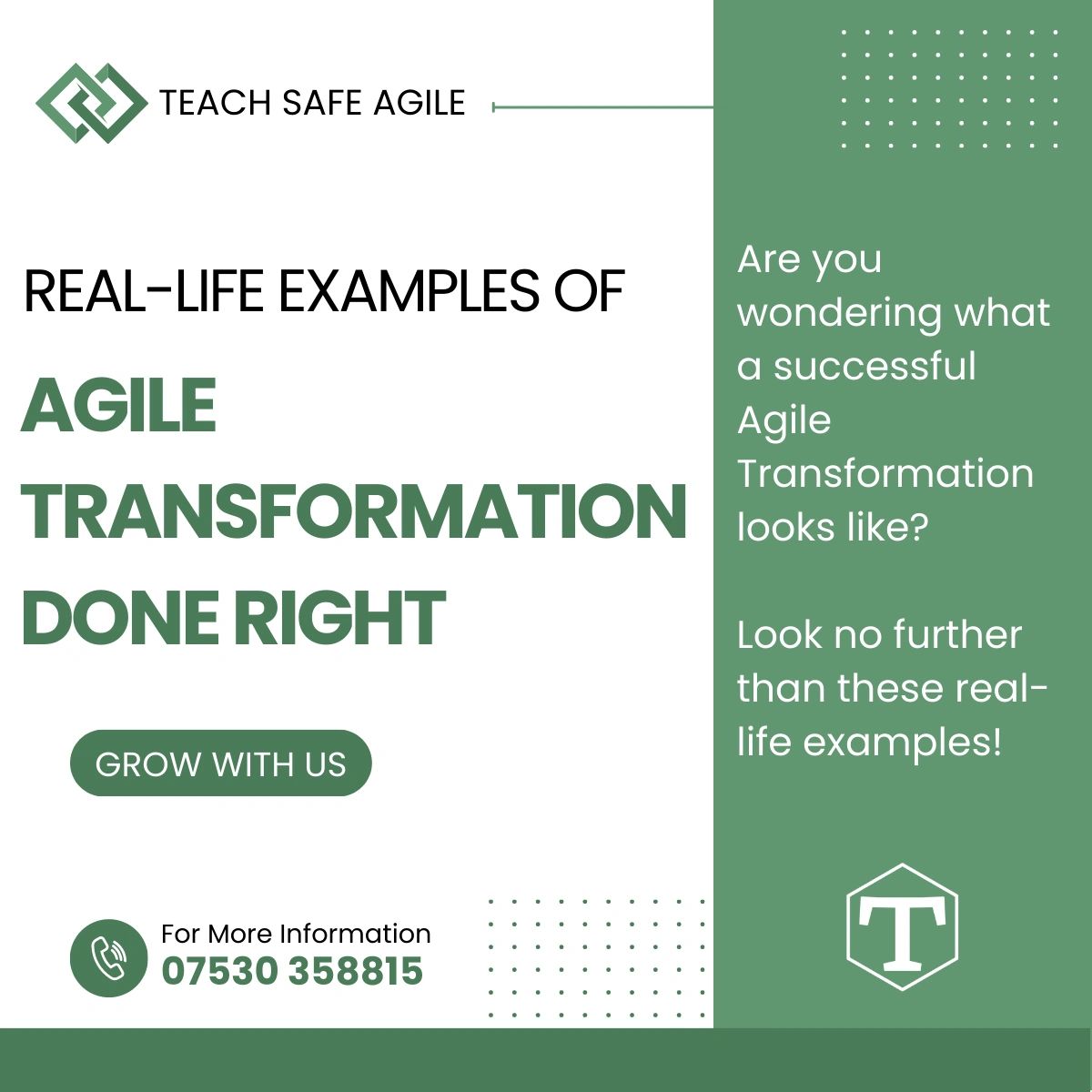 Real-Life Examples of an Agile Transformation Done Right.