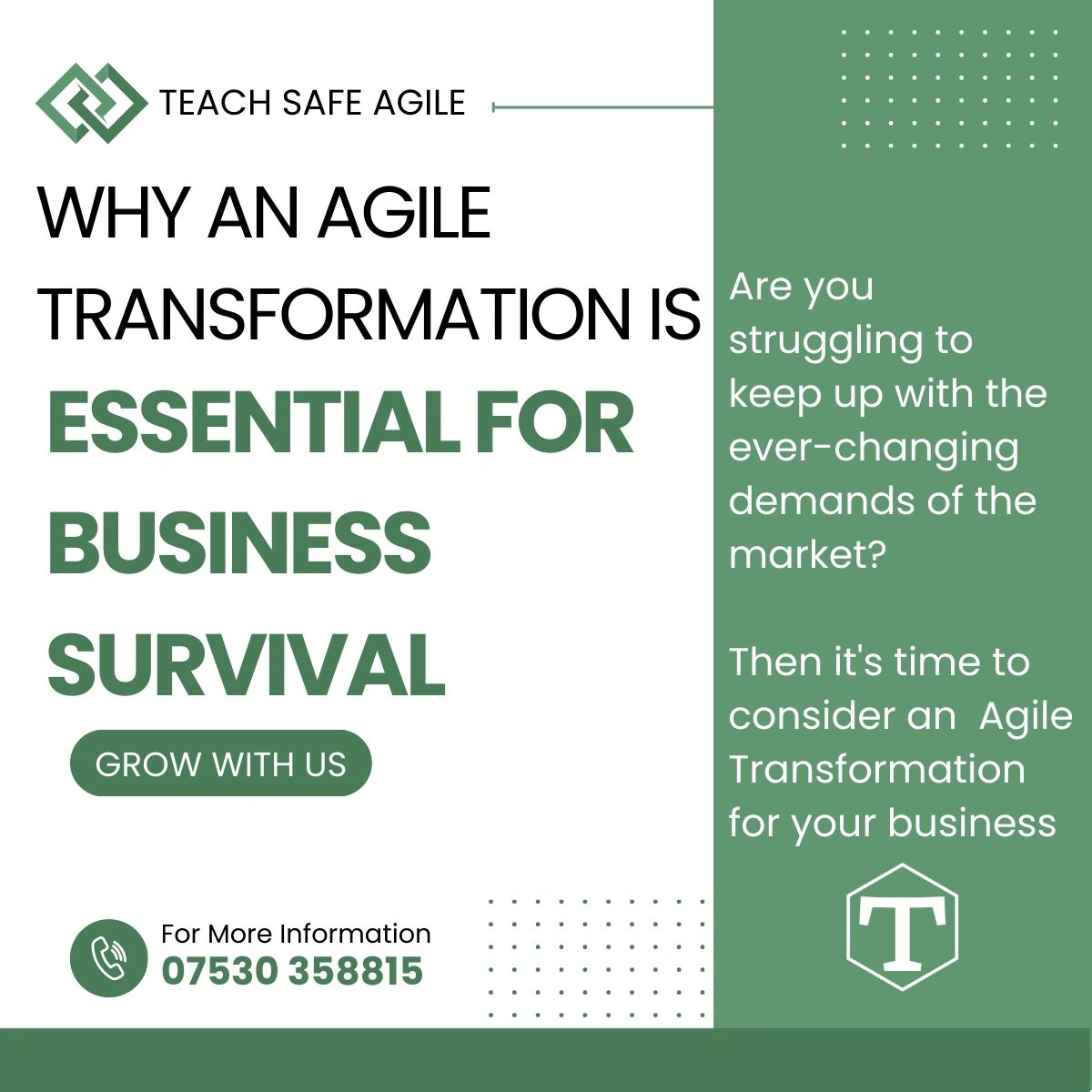 Don't get left behind – embrace an Agile Transformation today!
