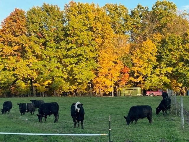 Heritage Forge and Farm