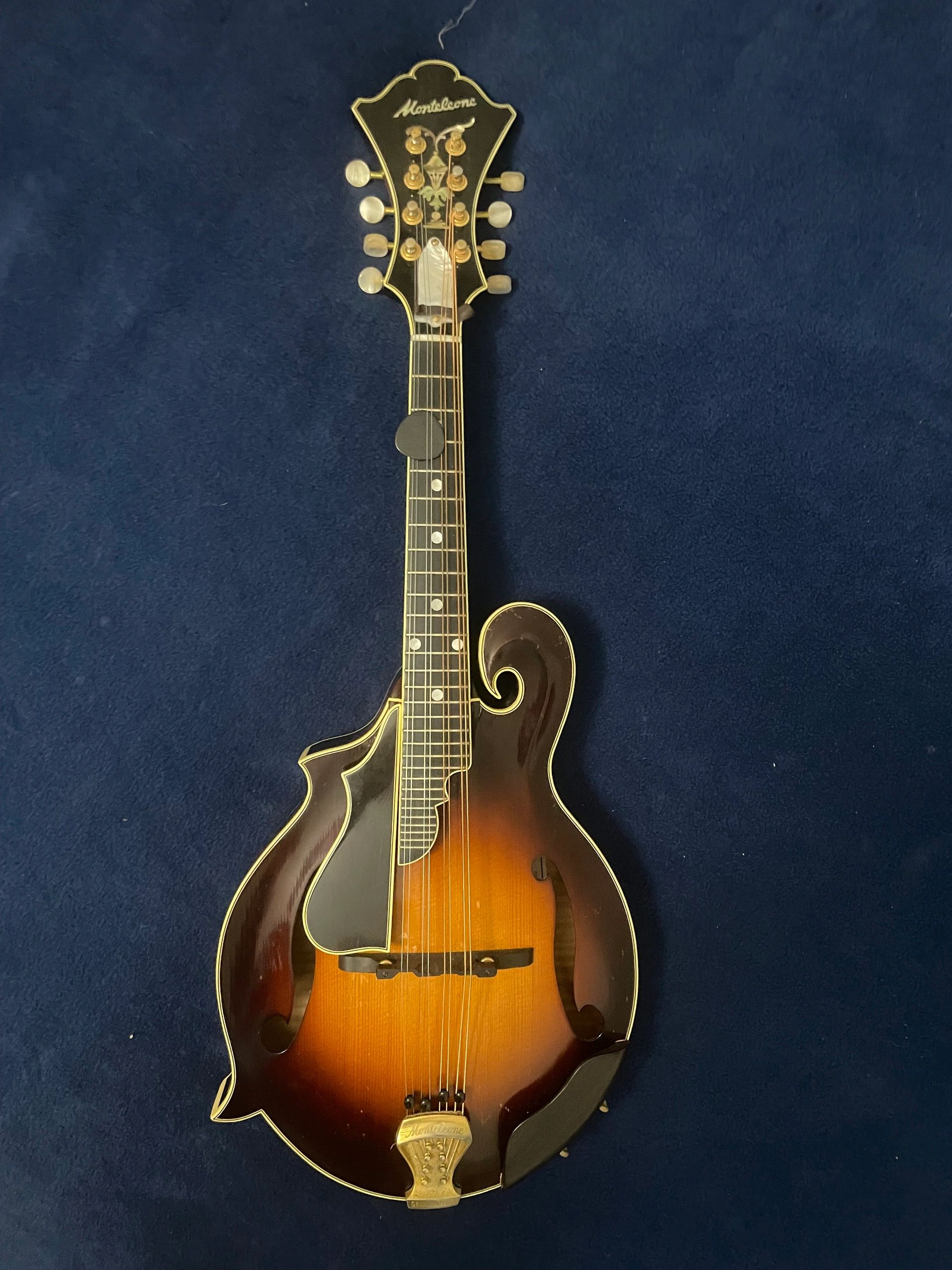 #79 Grand Artist Mandolin (1982)