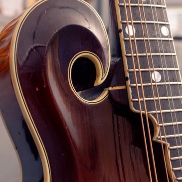 Monteleone Mandolin Registry archives Monteleone’s mandolins