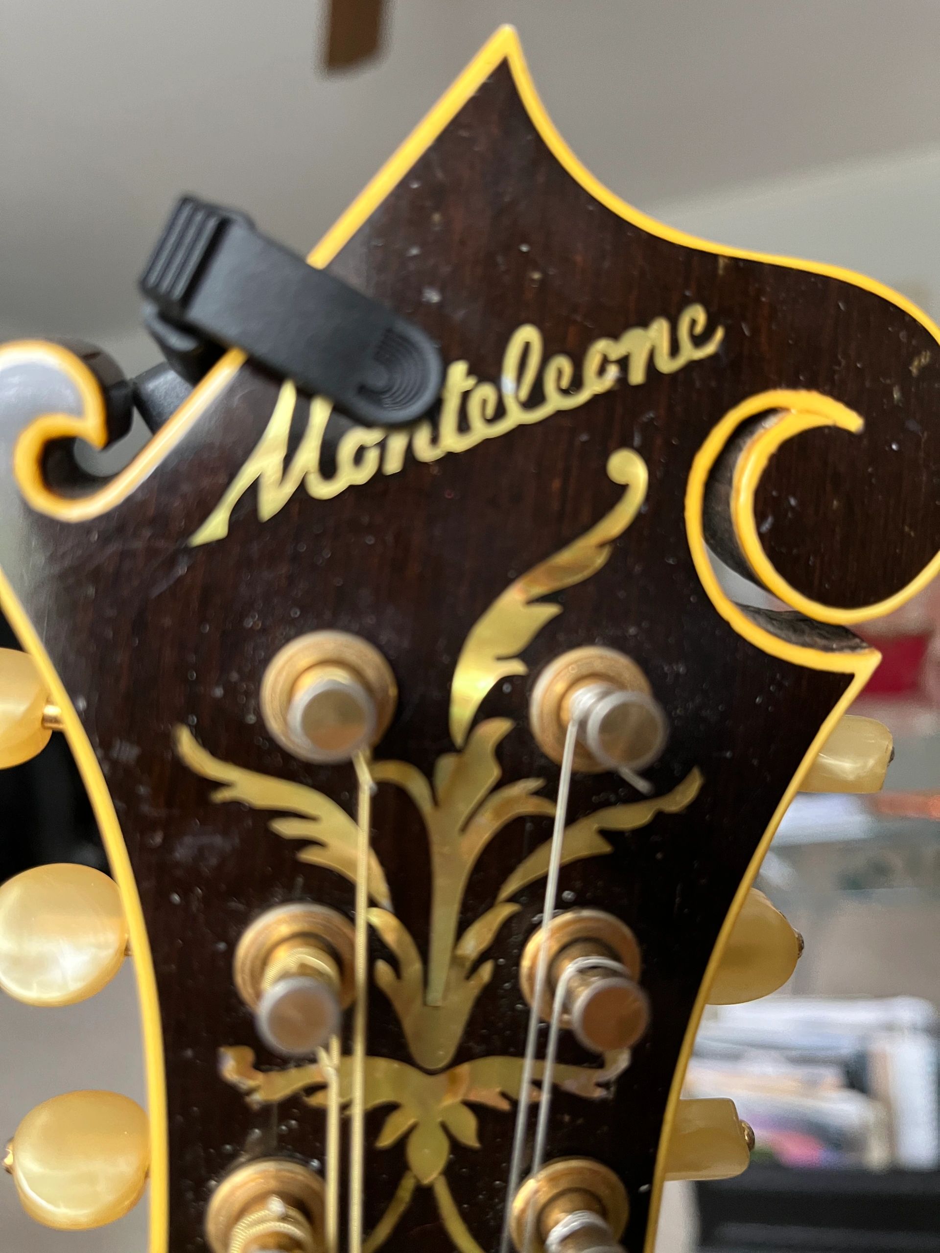 #22 Monteleone F5 Mandolin (1978)