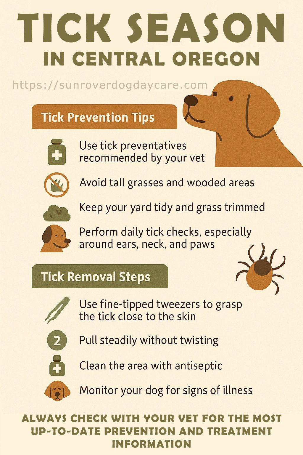 Tick Season in Central Oregon: How to Protect Your Dog