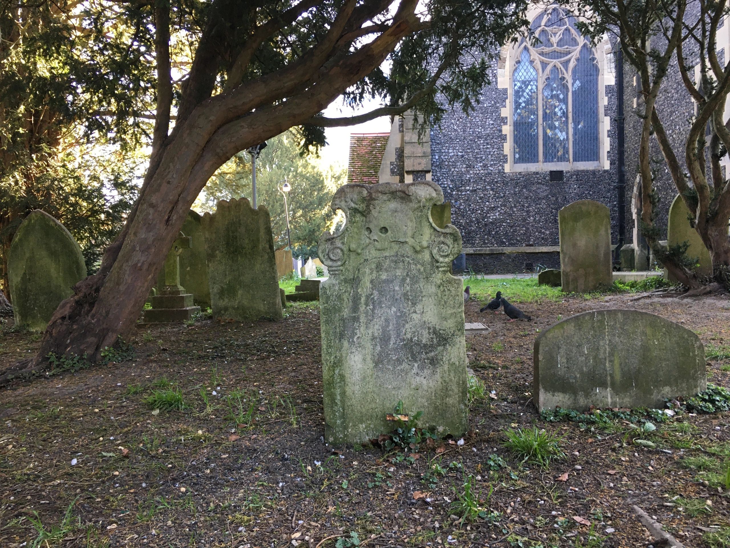 Friends of St Nicholas Churchyard
