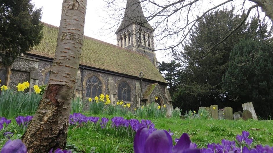 Friends of St Nicholas Churchyard
