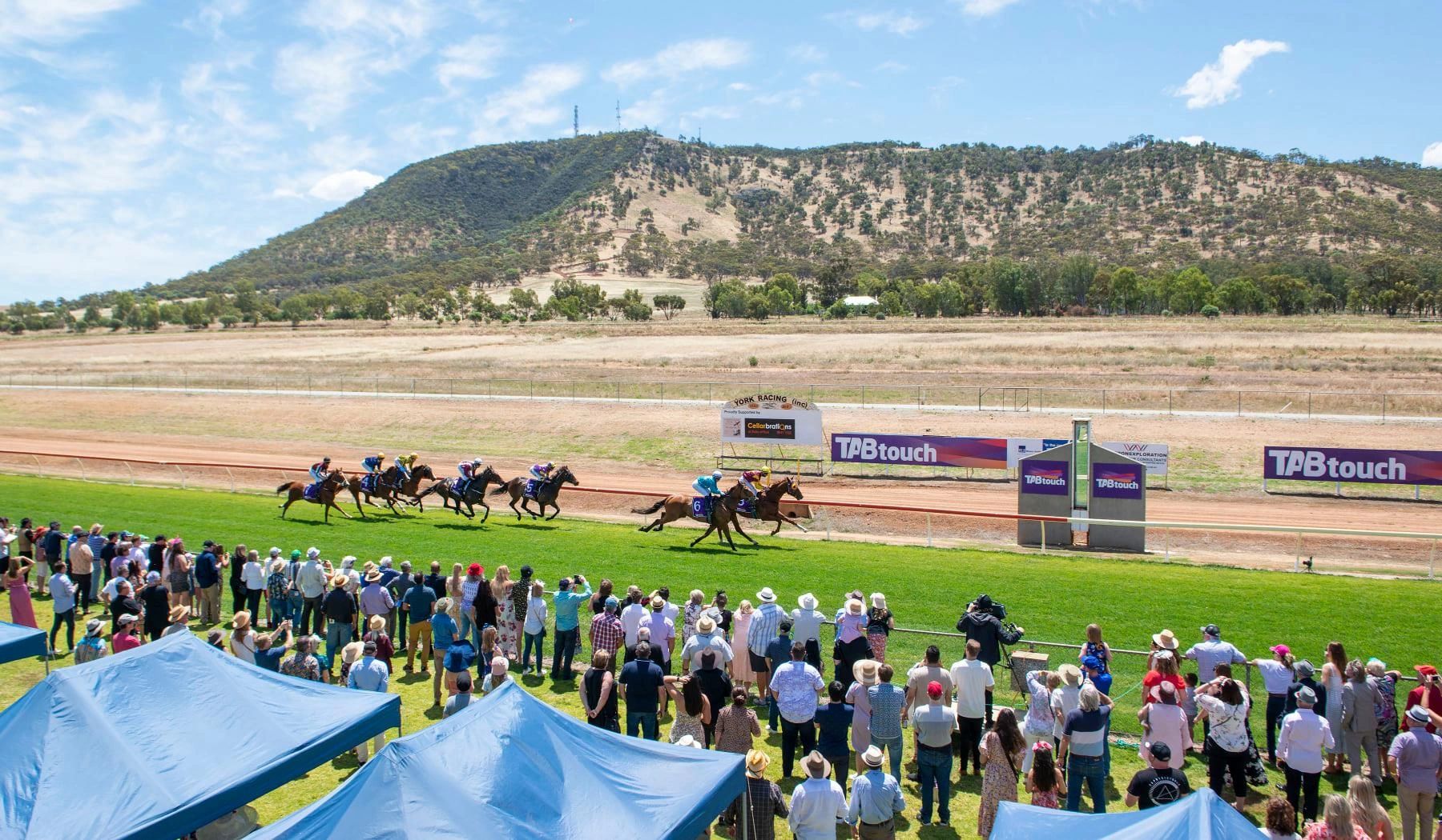 York Racecourse - Premier Horse Racing & Event Destination