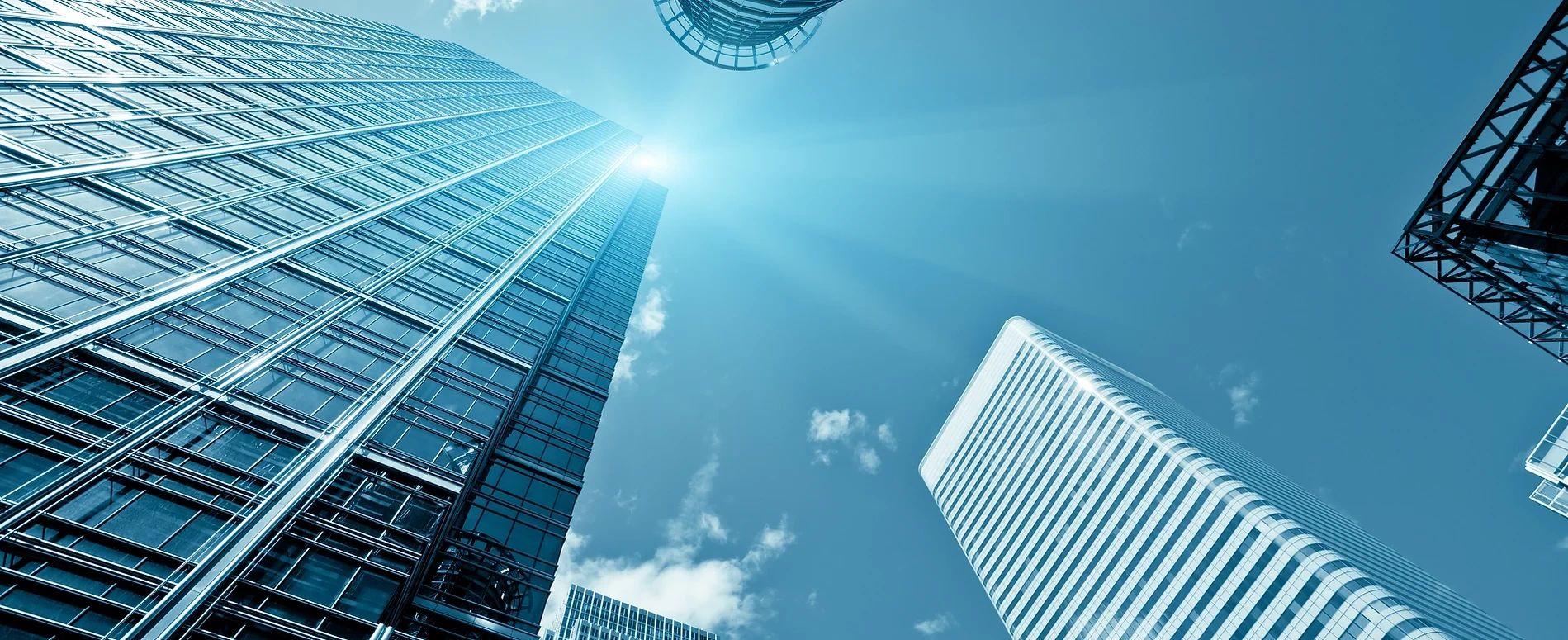 Professional Security Protection Services