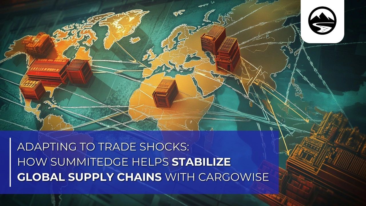 Adapting to Trade Shocks: Stabilizing Global Supply Chains