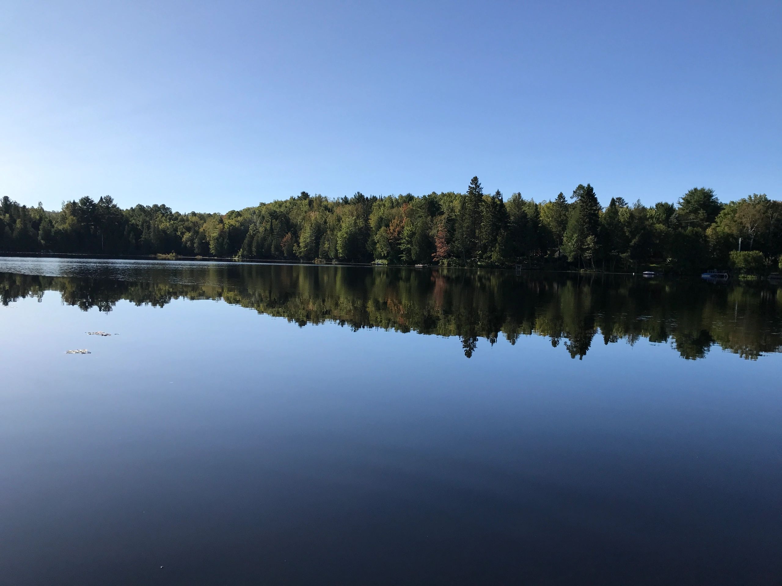 Association des propriétaires du Lac Jaune