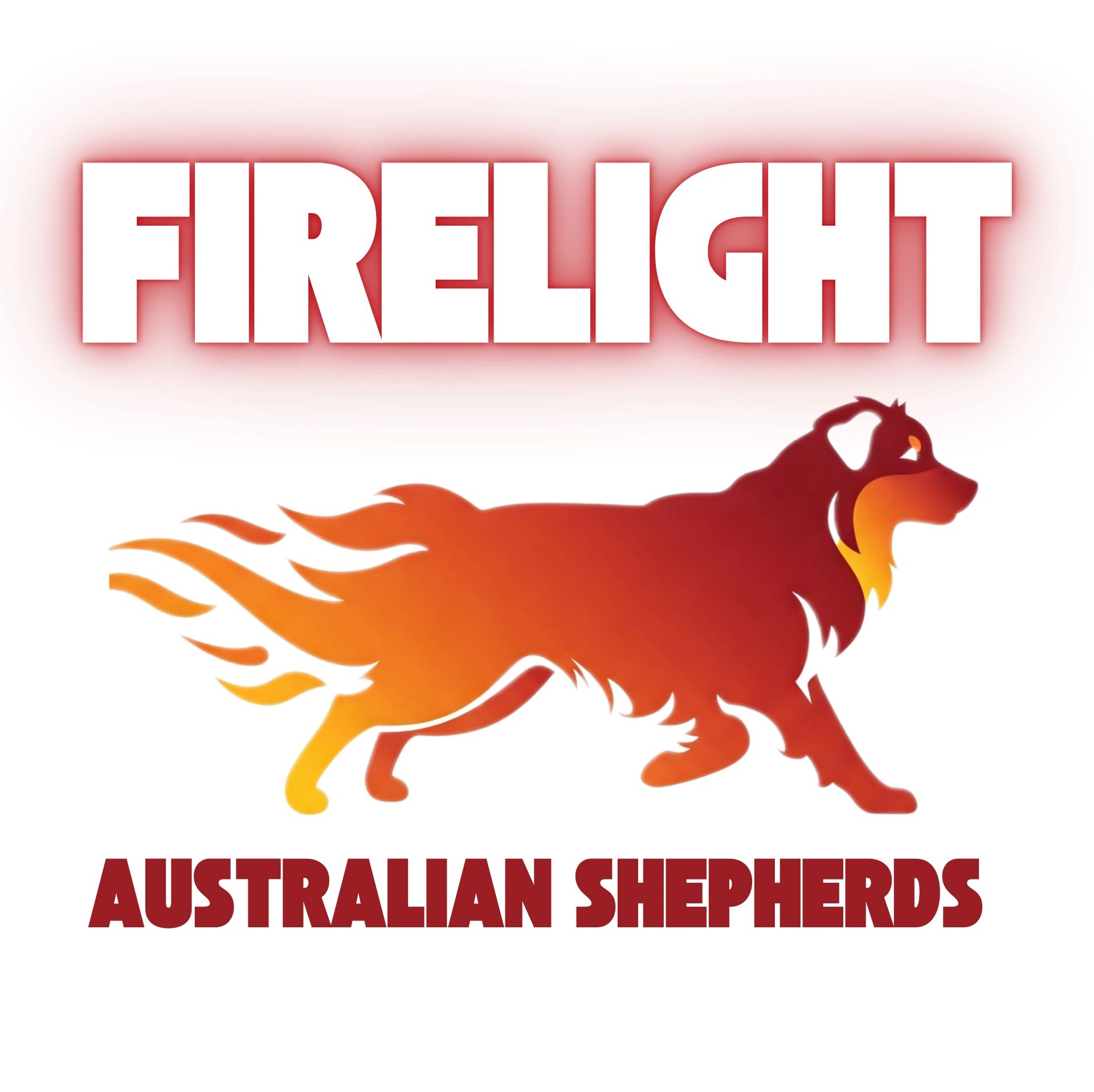 Firelight Australian Shepherds - Australian Shepherd Puppies, Dog ...