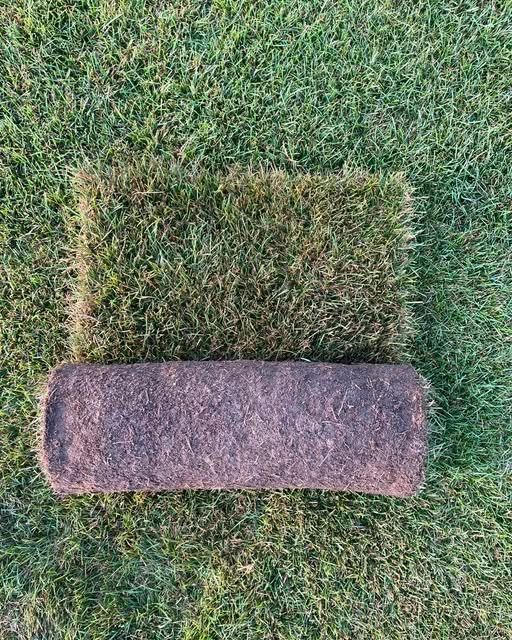 Sod Roll 10 Square Feet