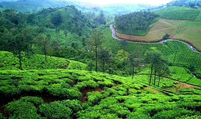 Vagamon places to visit