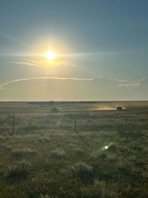 Prairie Stone Counselling