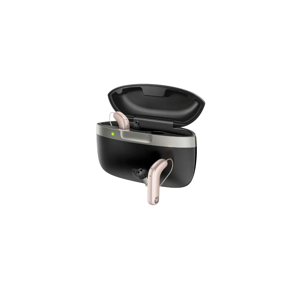Hearing Aid Istanbul Online