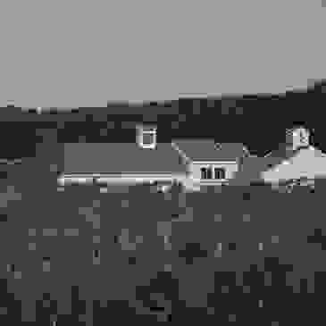 Wine - Tabone Vineyards - Traverse City, Michigan