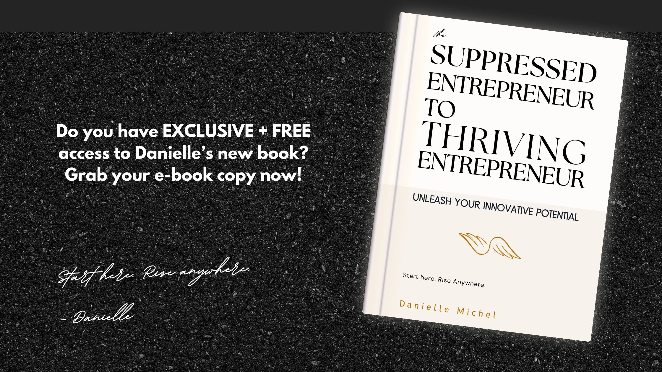 Danielle Michel Ventures