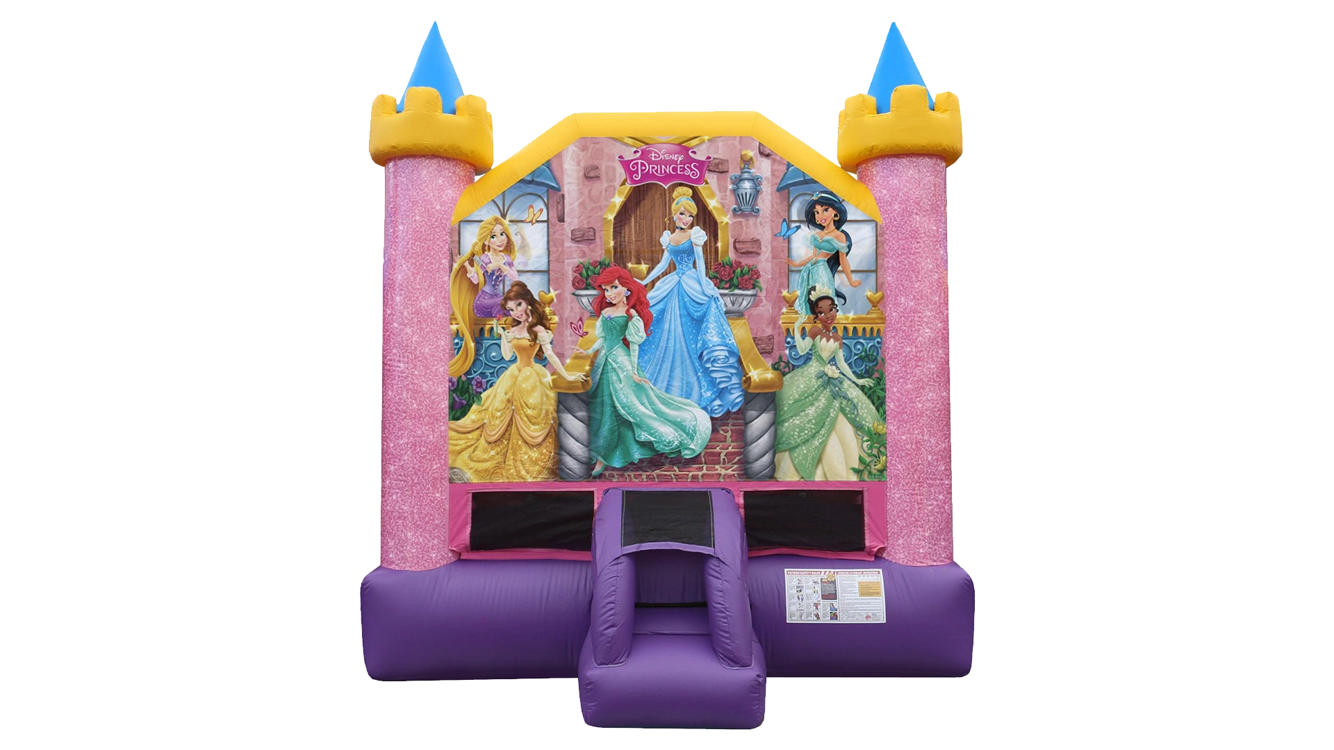 Disney Princess