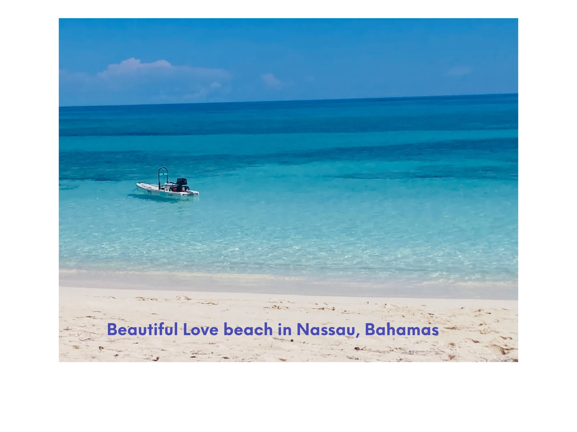 bahamasnature.com