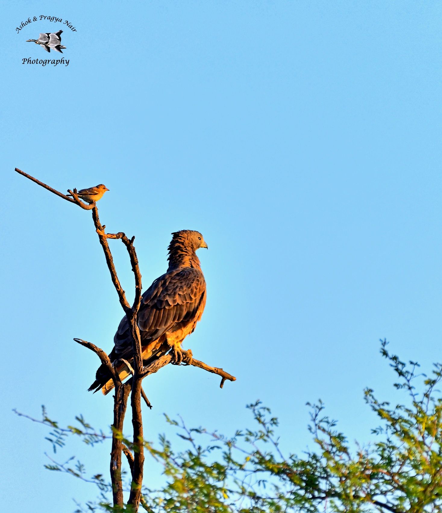 ANAND, GUJARAT
