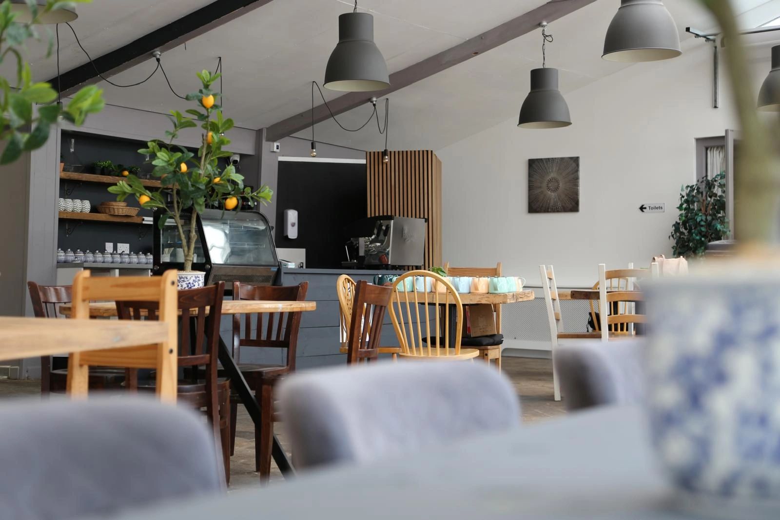 Tonic Rooms Cafe - Fresh Coffee & Community Events