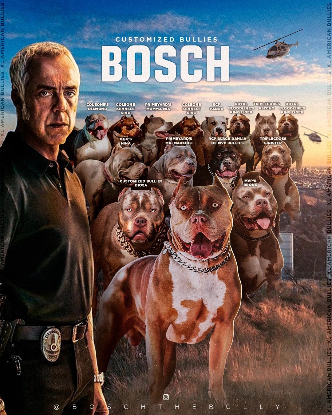 Bosch The Bully
