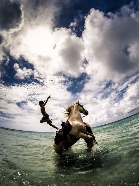Swim With Your Horse - Horseback Riding St. Croix Equus Rides ...