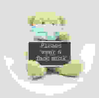 Wakefield Pediatric & Adolescent Medicine, P.A