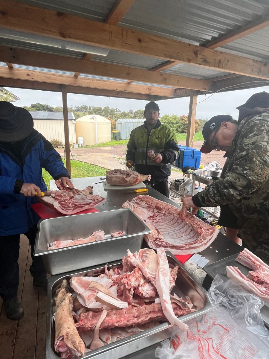 The Whole Hog - The ultimate guide to raising and butchering your own ...