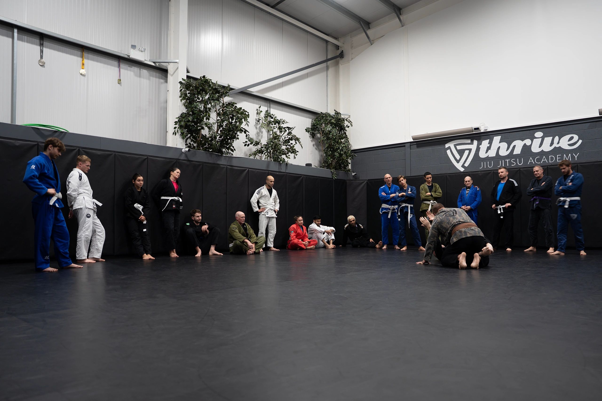 Adult Jiu Jitsu, Beginner Brazilian Jiu Jitsu, Brazilian Jiu Jitsu ...
