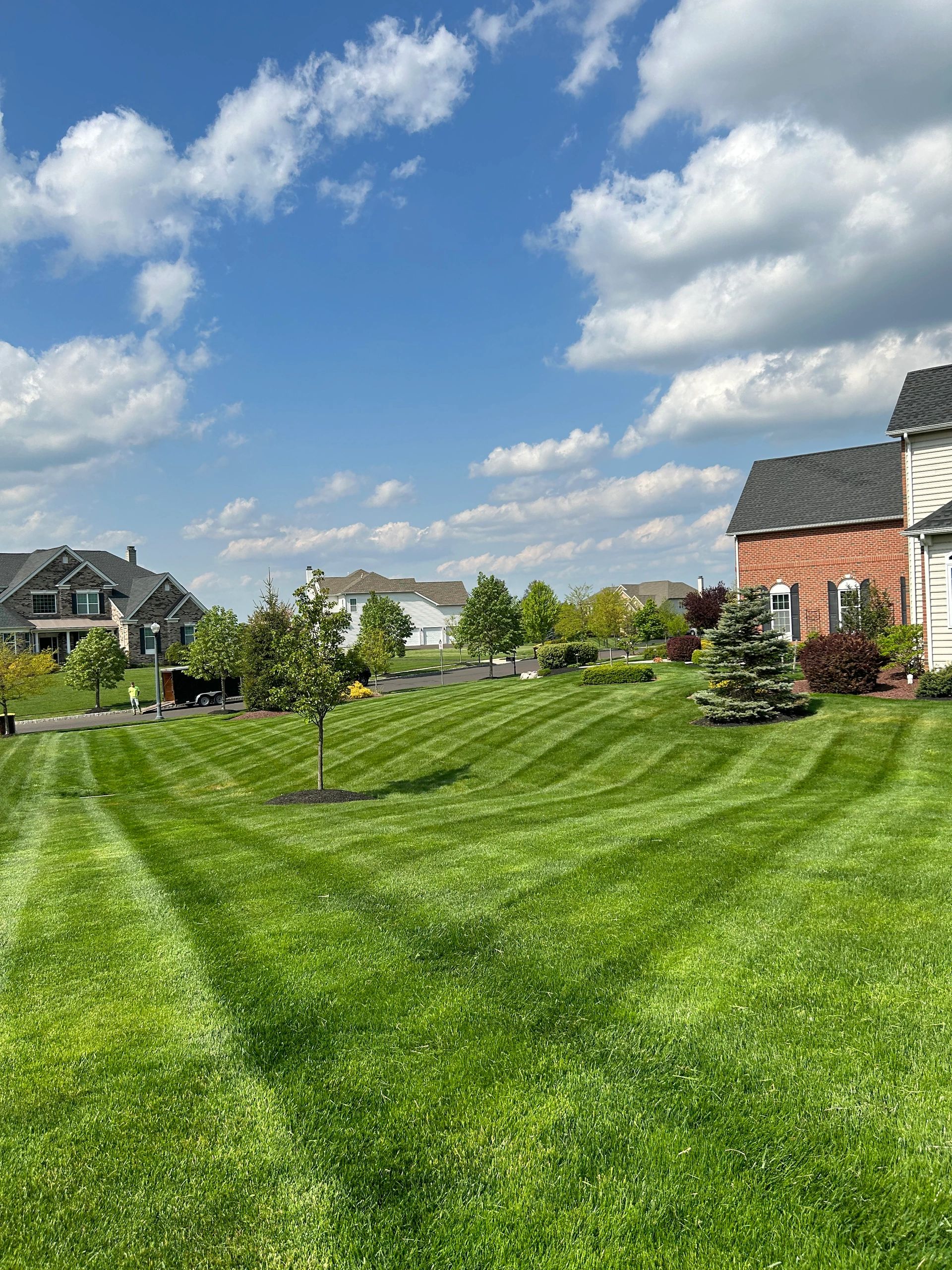 Evolution Lawn & Landscape