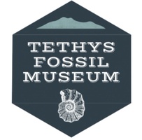 Tethys Fossil Museum