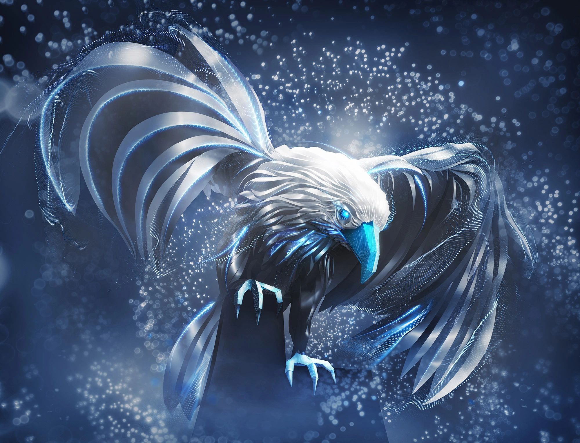 Dnr Group | Dnr Group