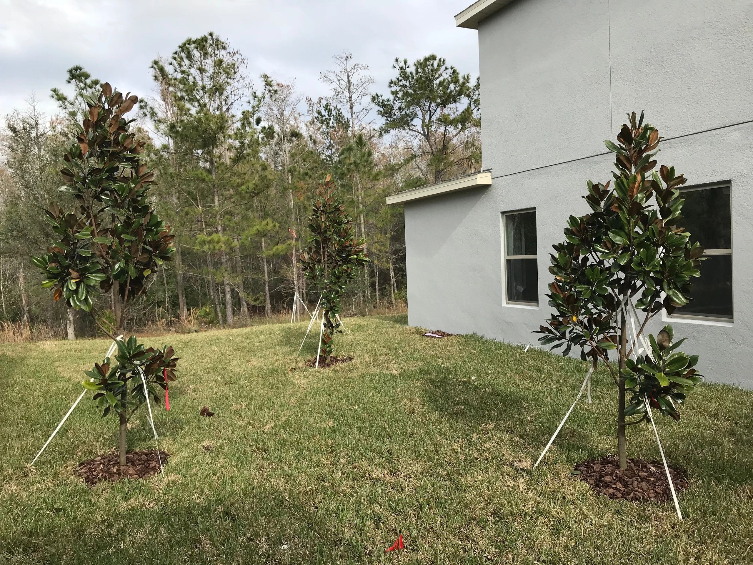 Tree Stake Solutions - Tree Stakes, Landscape Equipment