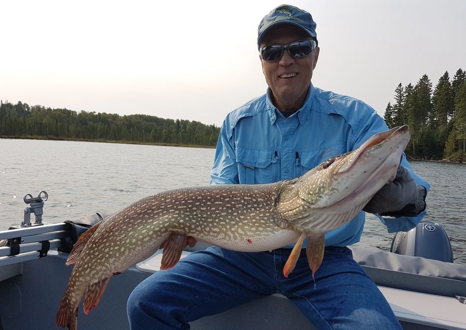 Northern Pike | lacseulguide.com