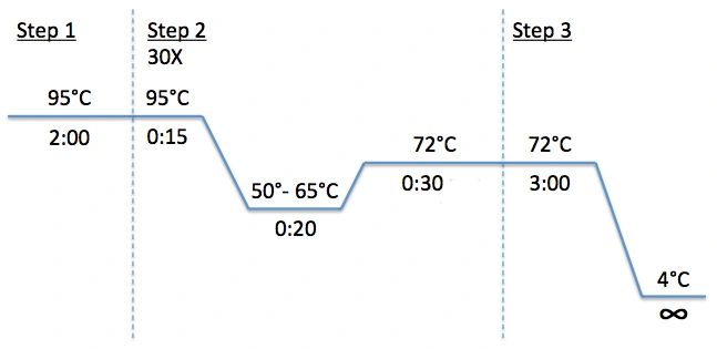 Diagnosing and Tuning PCR Run Conditions