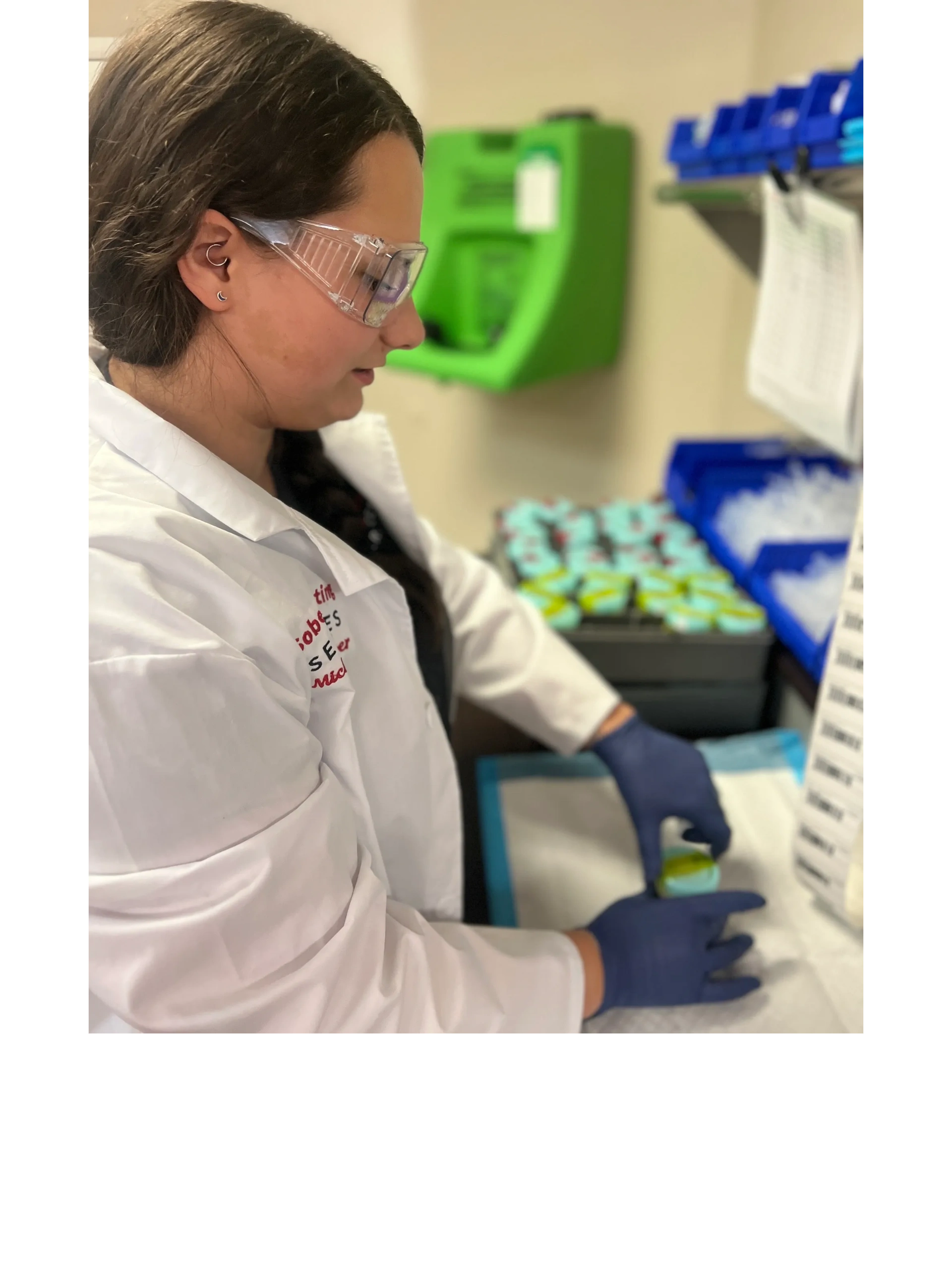 Employment Drug Testing