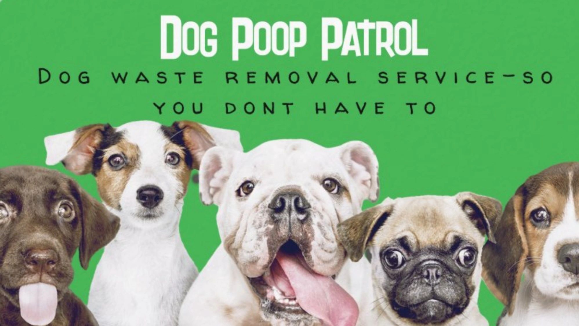 Expert Dog Poop Removal Services Near You