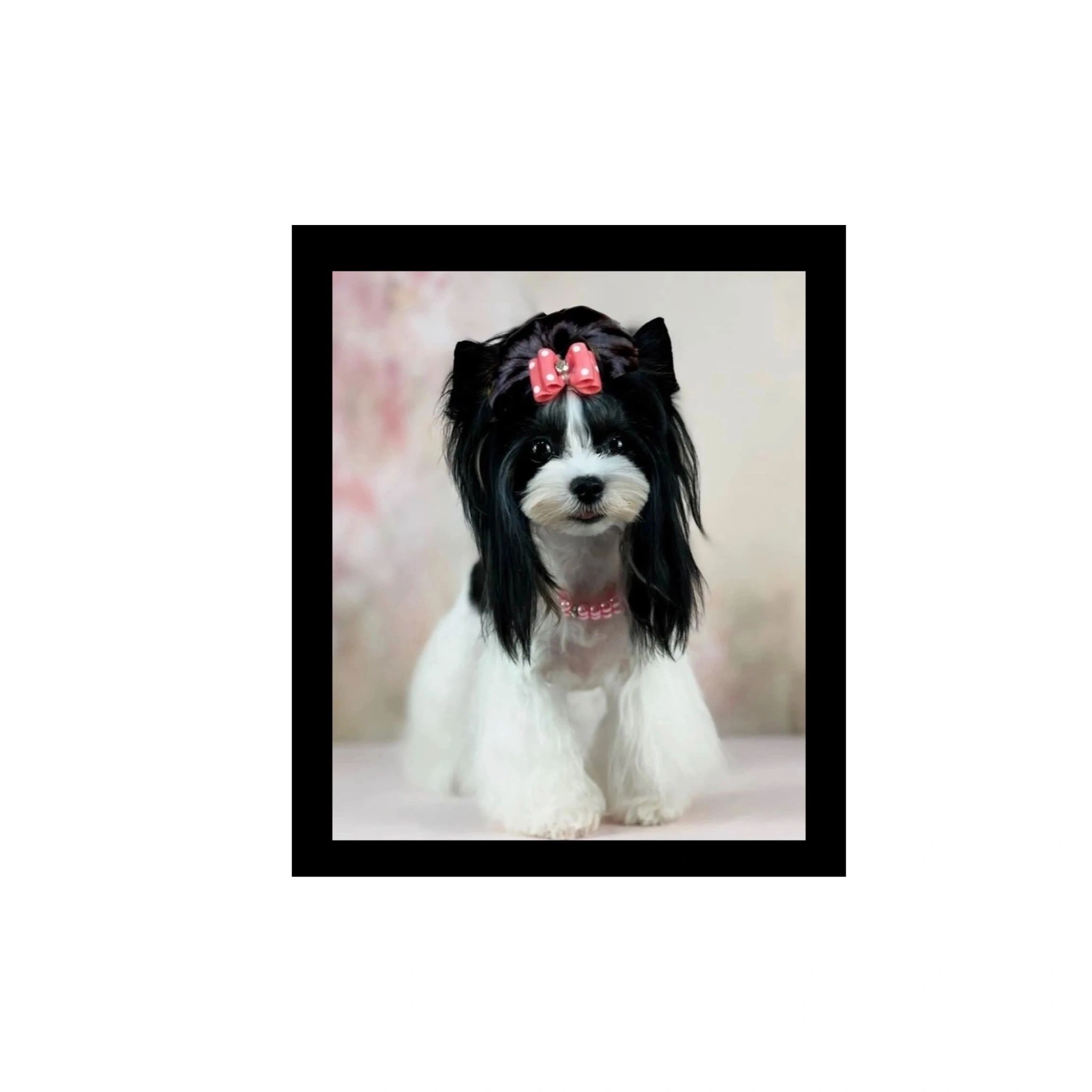 Grande Style Pet - Pet Grooming, Dog Grooming, Pet Grooming