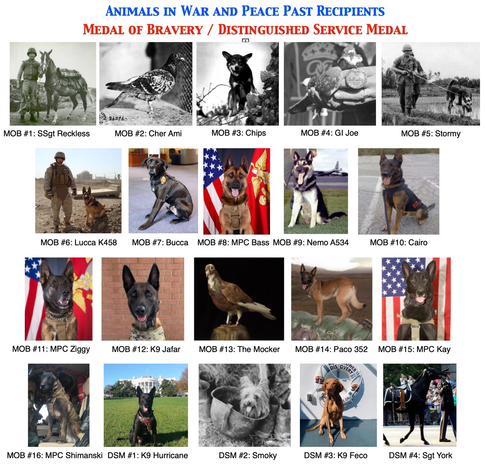 Animals in War & Peace