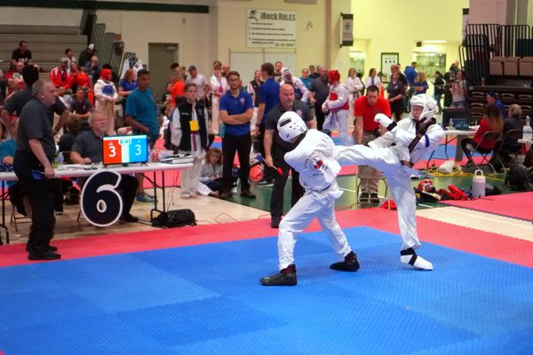 Discover the Art of Taekwondo in Pickering – Planet Adelpha