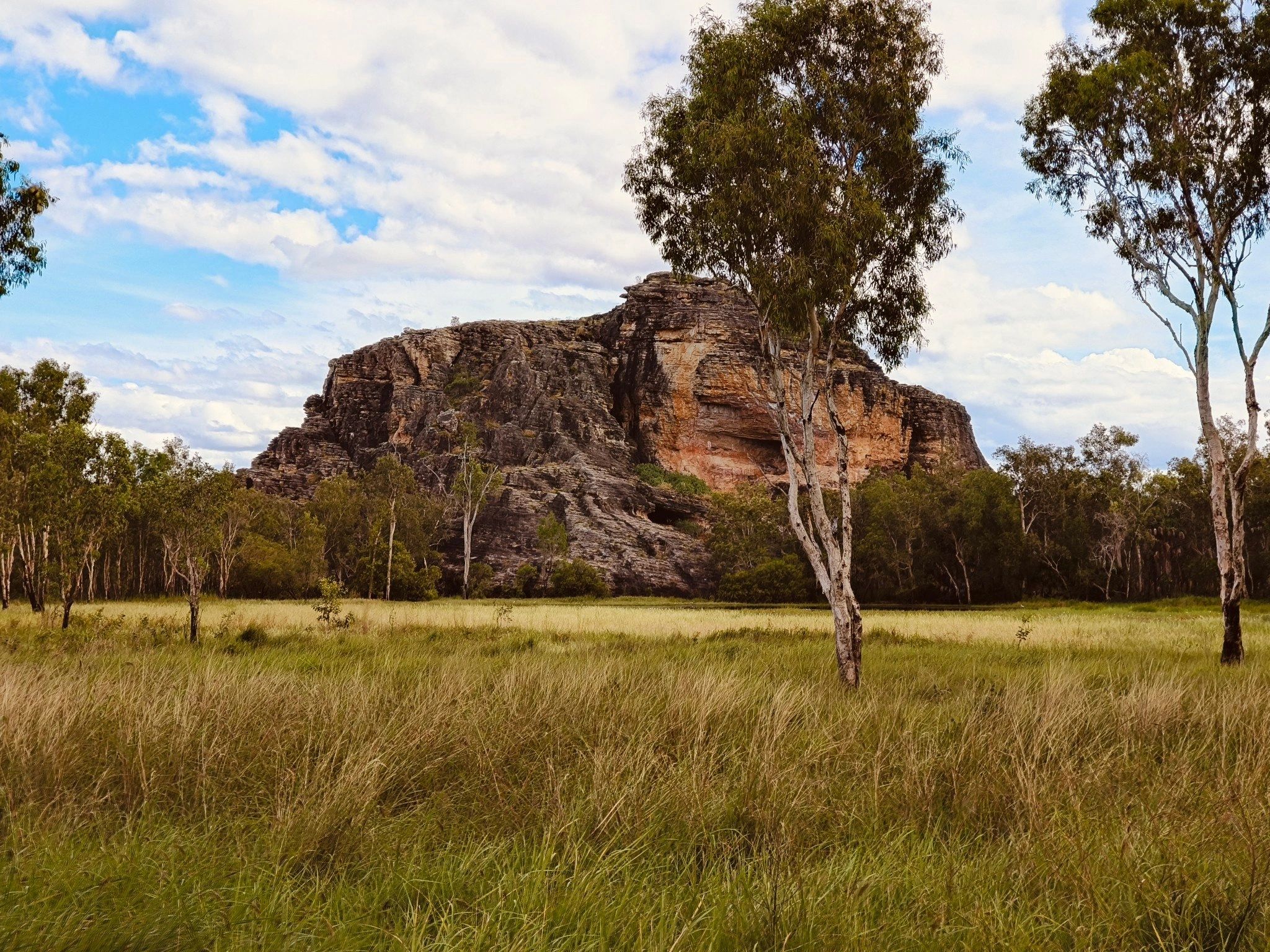Tours culturels à Kakadu : art aborigène et histoires du Dreamtim