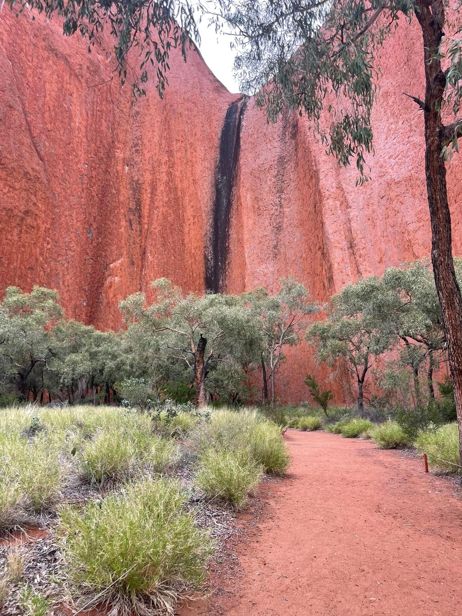 Explore the Northern Territory Like Never Before: Kakadu Uluru...