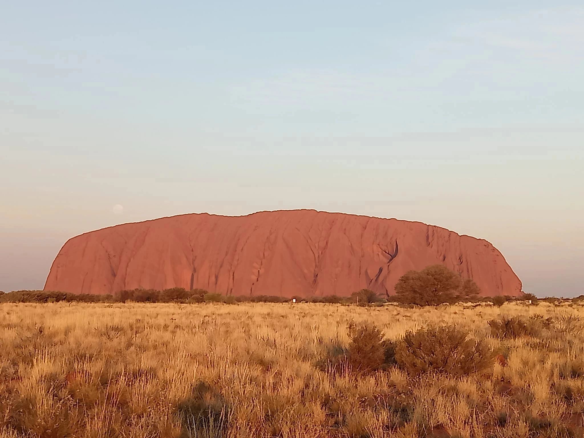 Uluru & Kings Canyon Private Tour–Discover the True Australia