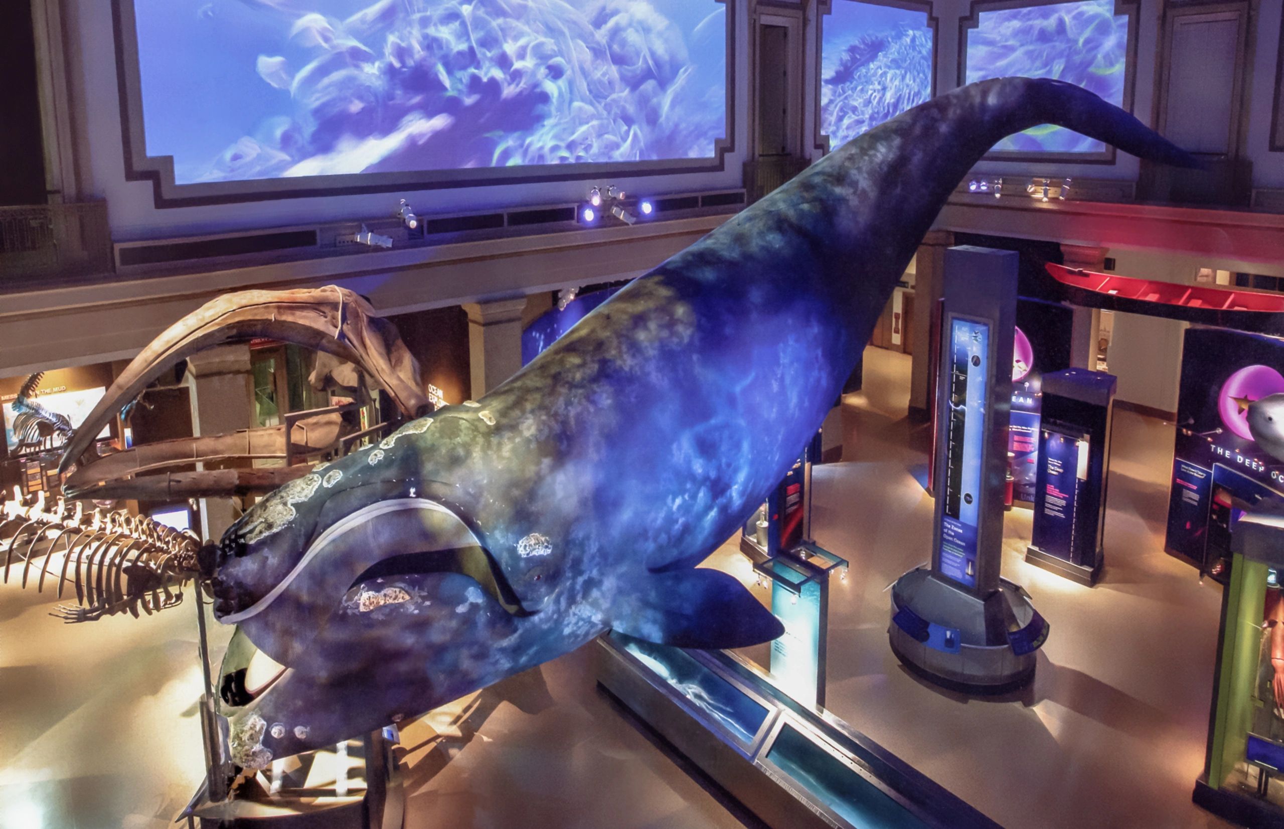 Chase Studio - Museum Exhibit Designer, Artist, Terry Chase