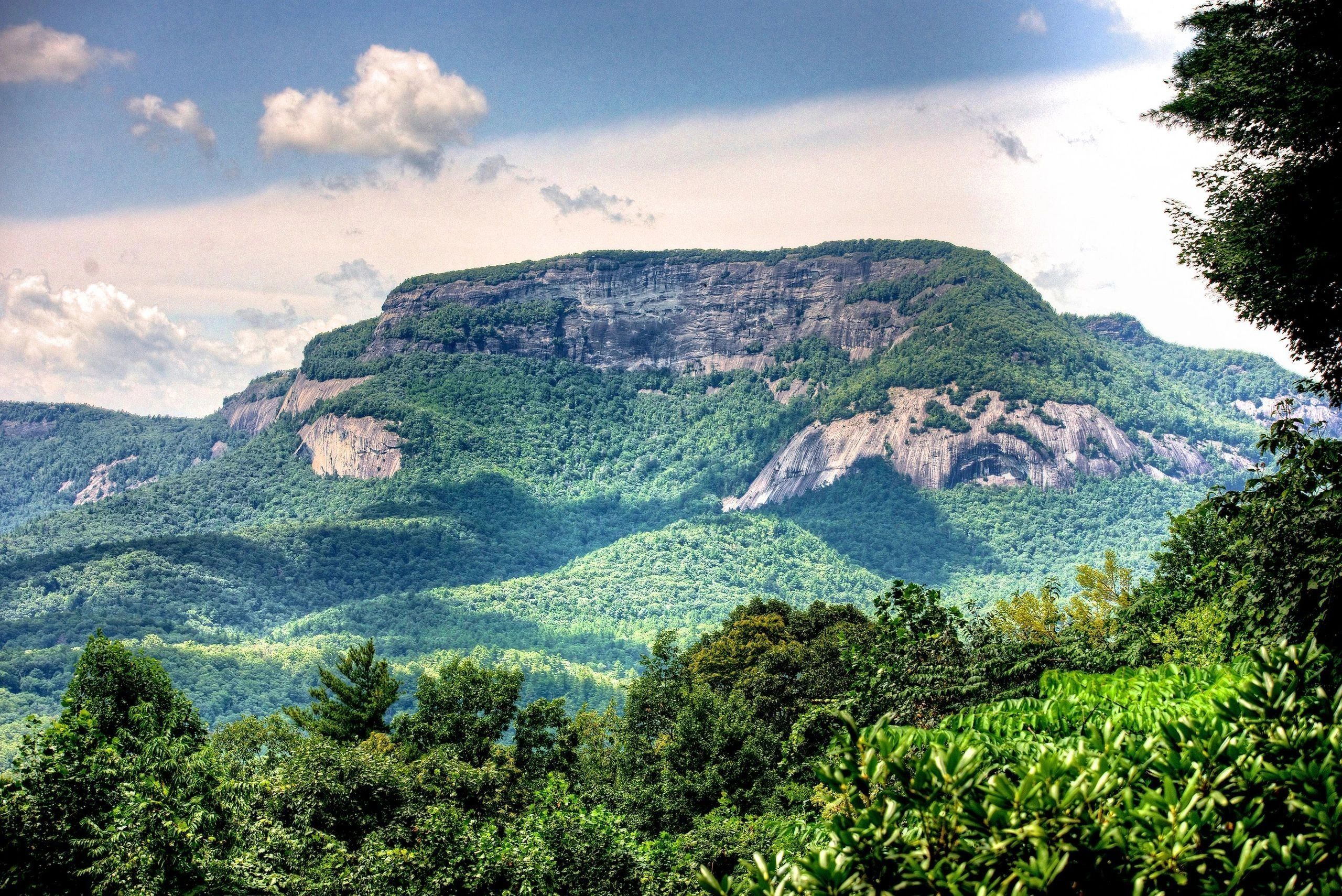 Beth Townsend, Broker