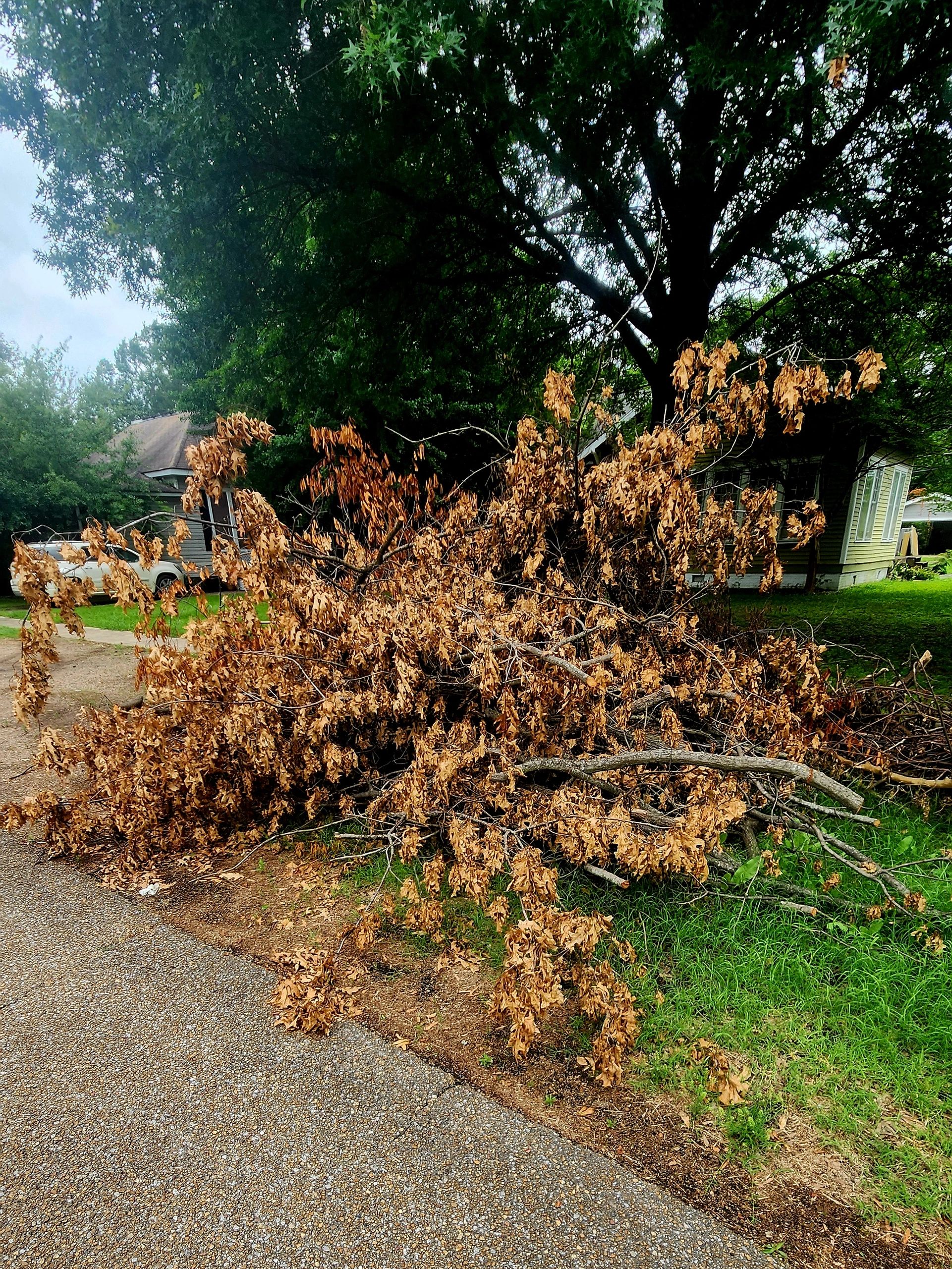 Check the Connection